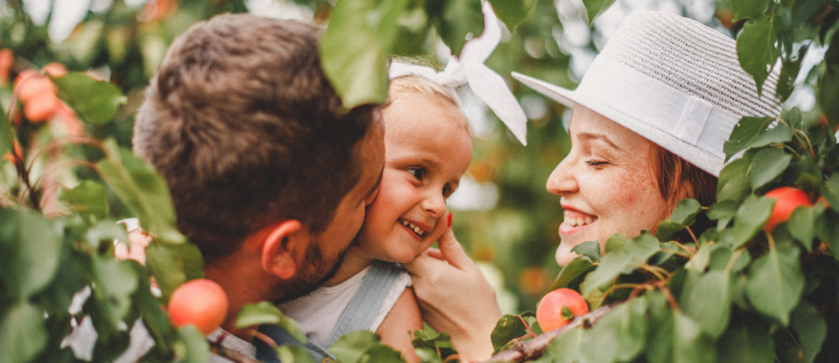 Why Choose Organic? Top 4 Reasons to Avoid the Dirty Dozen | Whole Health Integrative Medicine